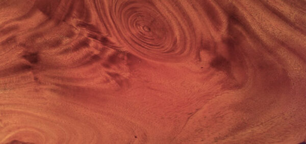 Caoba – Puerto Rico Hardwoods