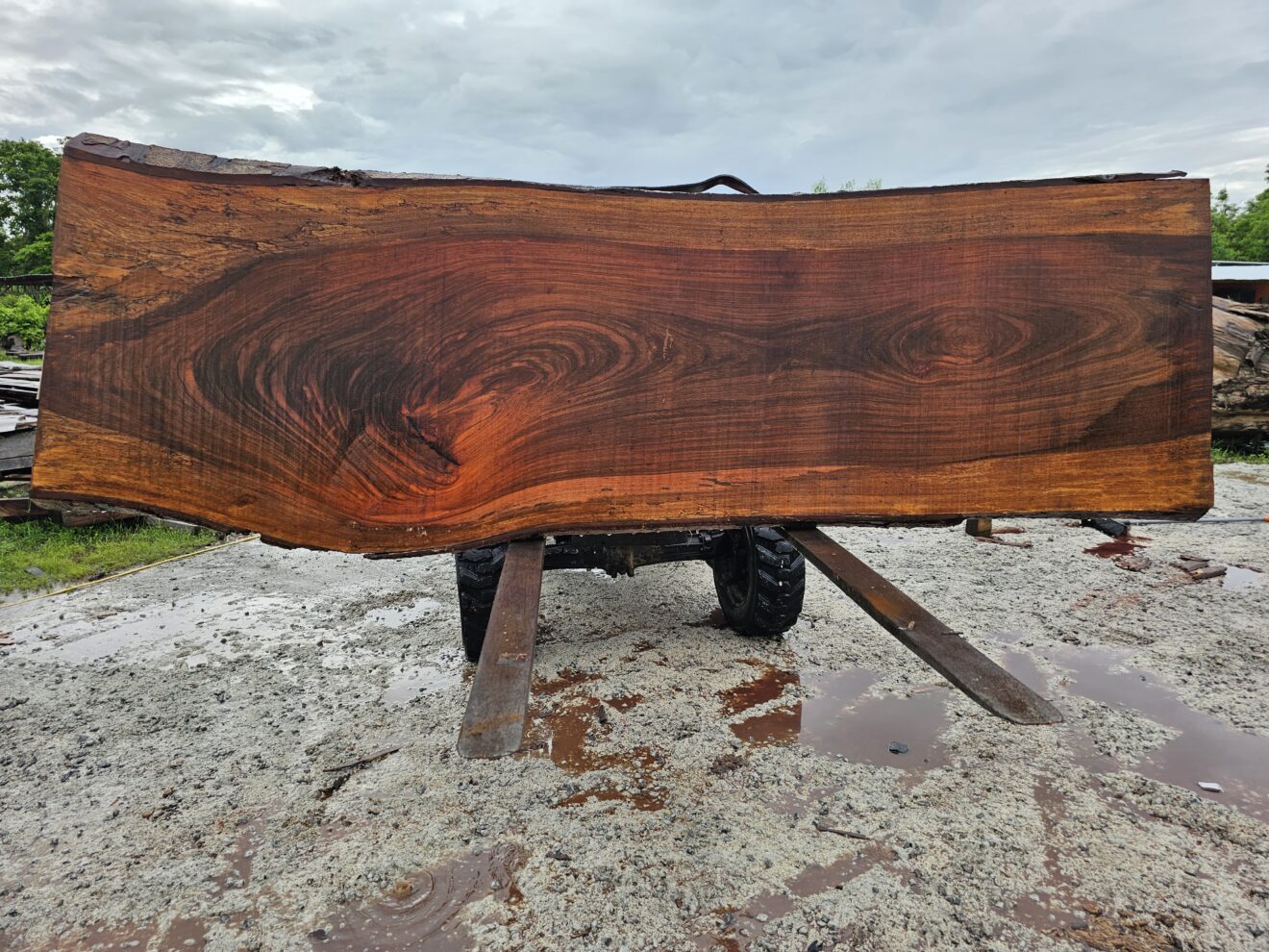 Quienes Somos – Puerto Rico Hardwoods